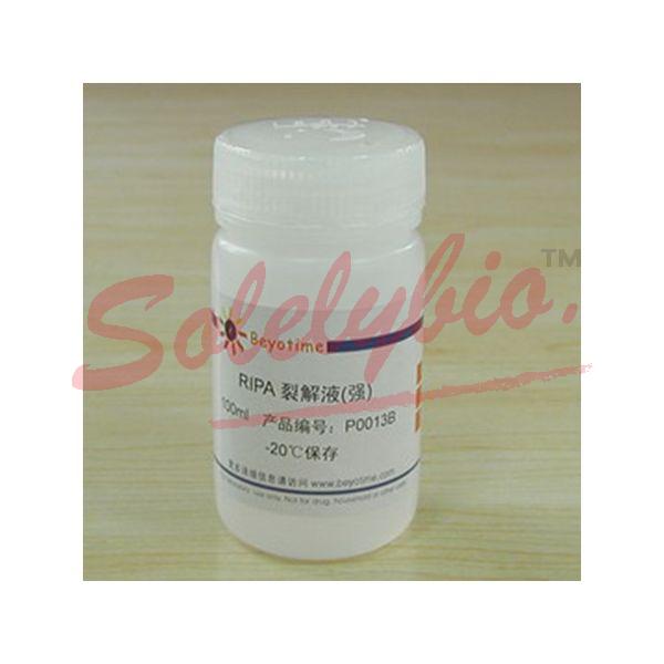 Beyotime P0013B RIPA裂解液(强) 100ml_碧云天
