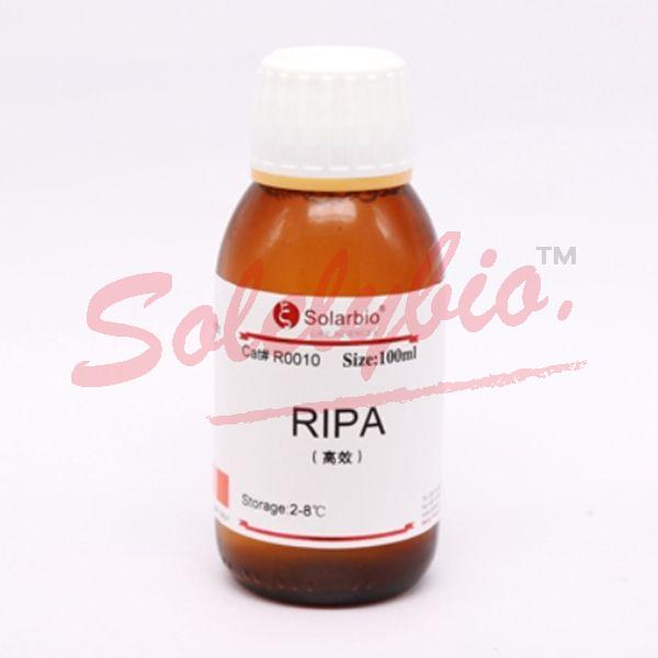 solarbio.R0010-100ml 高效RIPA裂解液(组织/细胞) 100ml_索莱宝