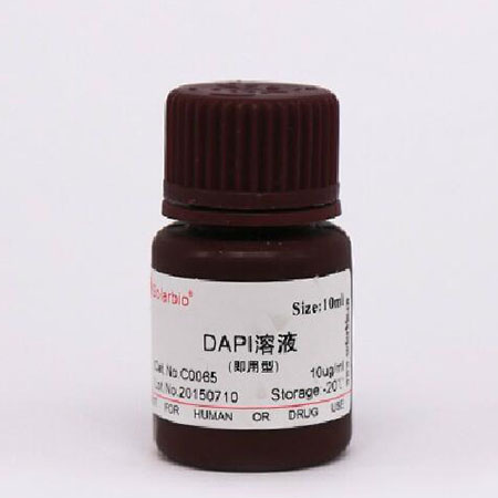 索莱宝 C0065 DAPI溶液(即用型) 10ml _索莱宝