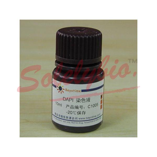 碧云天.C1005 DAPI染色液 10ml_碧云天