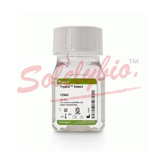Invitrogen.12563011 TrypLE Select (1X), no Phenol Red 100 ml _Invitrogen