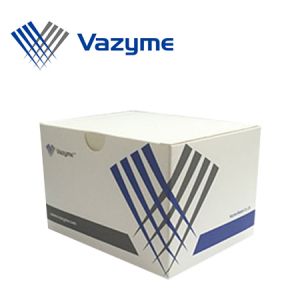 Vazyme Q111-02 AceQ® qPCR SYBR® Green Master Mix 500 rxn (20 μl/rxn)_诺唯赞