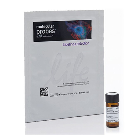 Invitrogen.D3571 DAPI(4',6-Diamidino-2-Phenylindole, Dilactate) 10mg _Invitrogen