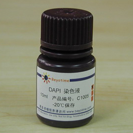 碧云天.C1005 DAPI染色液 10ml_碧云天
