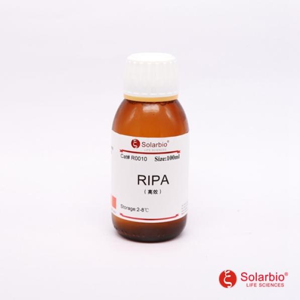 solarbio.R0010-20ml 高效RIPA裂解液(组织/细胞) 20ml _索莱宝